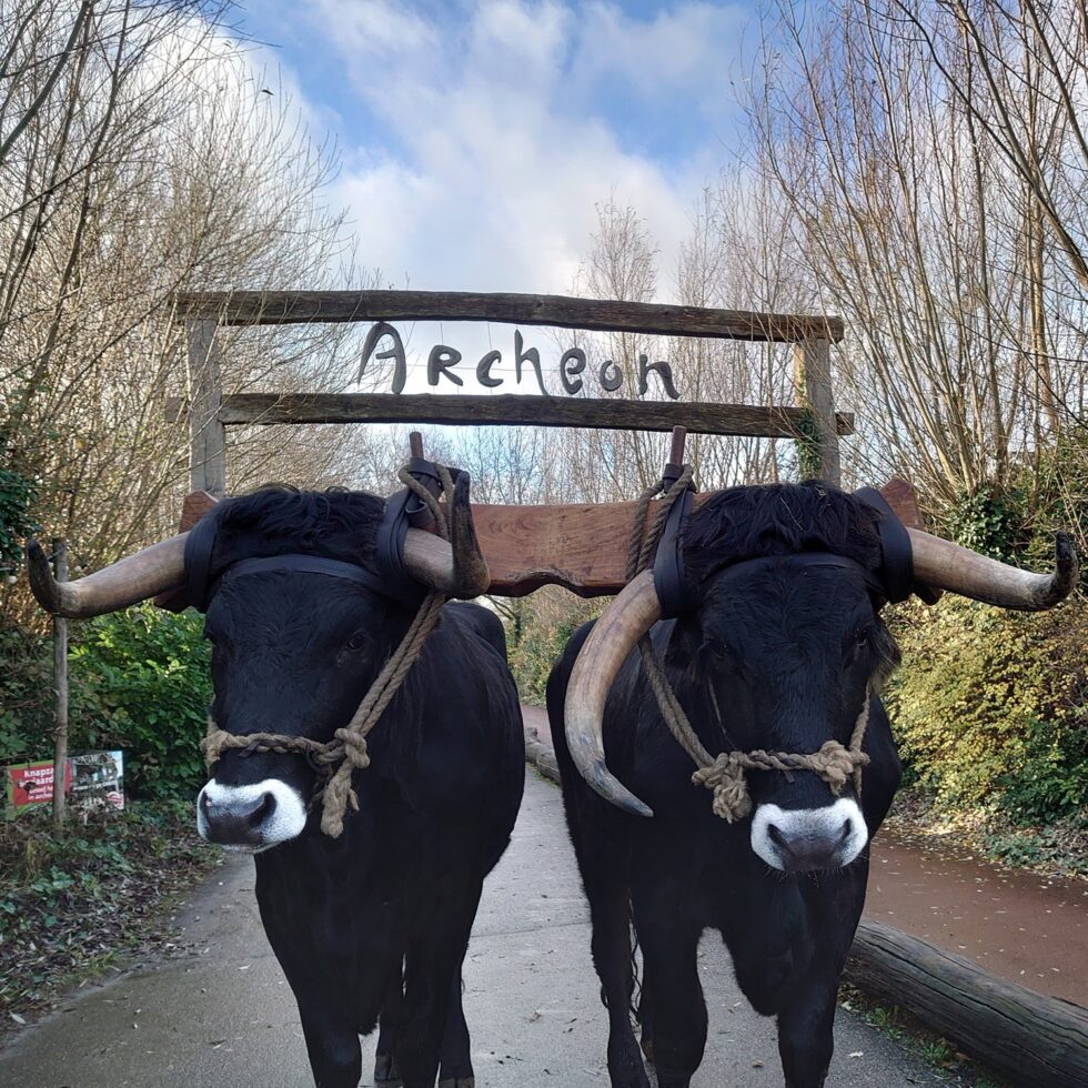 agenda - Vrienden van Archeon